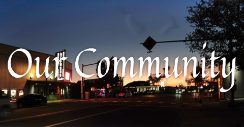 Our Community: From Kennels to Forever Homes – The Mission of the South ...